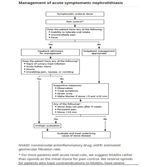 Nephrolithiasis A Short Review