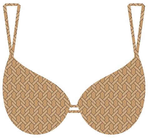 Biquíni Moda Feminina 17555005 Vetor No Vecteezy