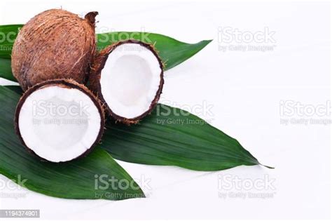 코코넛과 야자수는 흰색 나무 배경에 잎 천연 화장품과 자연에서 건강 한 영양 공간을 복사합니다 건강한 식생활에 대한 스톡 사진 및 기타 이미지 Istock