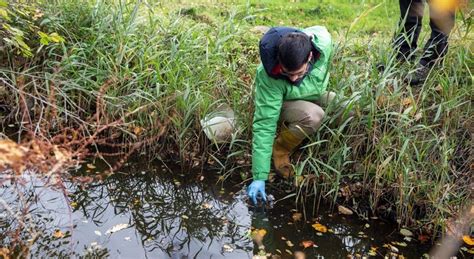 Pesticides And Antibiotics Polluting Streams Across Europe