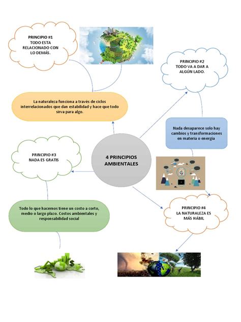 4 Principios Ambientales Pdf