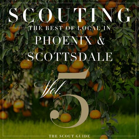 Scouting For V5 We Want To Hear From You The Scout Guide