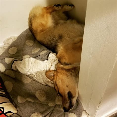 Modules In Python Part 14 Of The Build Your Own Jarvis Series