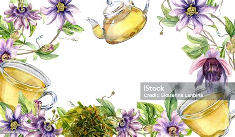 유리 찻주전자와 컵 열정의 꽃 줄기 수채화 그림이 흰색으로 분리되어 있다 허브티 건강음료 마라쿠자 꽃 손으로 그렸다 포장 메뉴