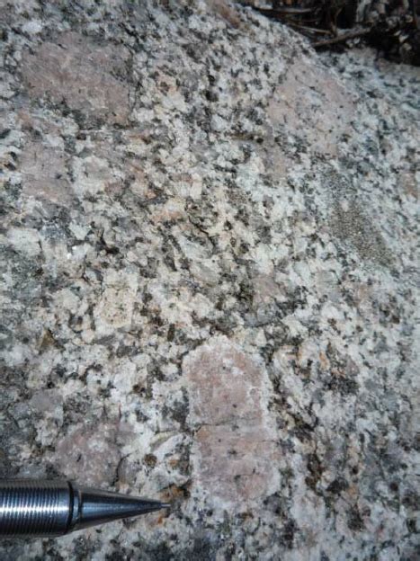 Distinctive Zoned K Feldspar Megacrysts In Osprey Lake Batholith
