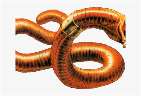 Worms Clipart Parasitic Worm Parasite Eve Monsters Png Image