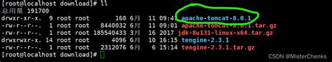 Linux 虚拟机环境 Tomcat 的下载与安装 详细操作步骤linux Tomcat下载 Csdn博客