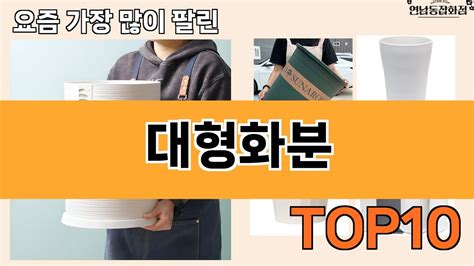 가장 많이 팔린 대형화분 추천 Top10 Youtube