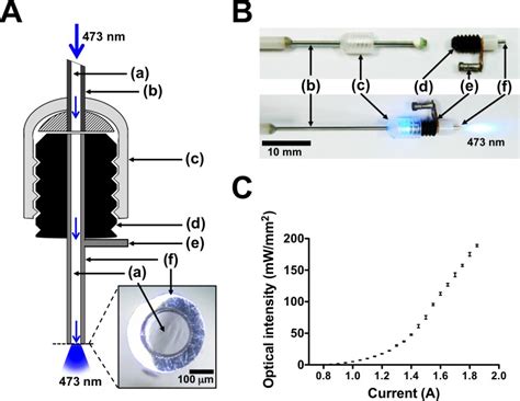 Modulation Of Motor Excitability By Cortical Optogenetic Theta Burst
