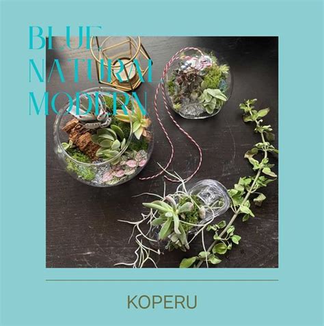 『花のある暮らしマルシェ』初開催！ Newscast