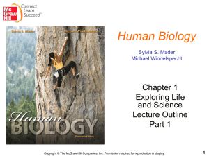 Classification Review