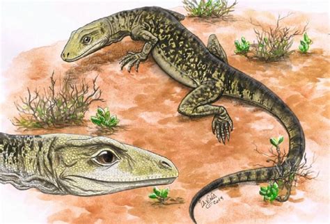Mammiferi Triassici