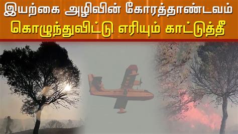 இயற்கை அழிவின் கோரத்தாண்டவம் கொழுந்துவிட்டு எரியும் காட்டுத்தீ Youtube