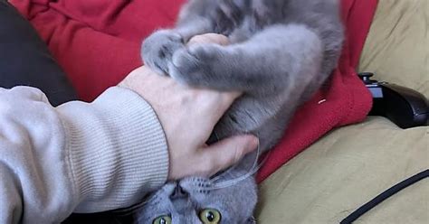 Spoon Album On Imgur