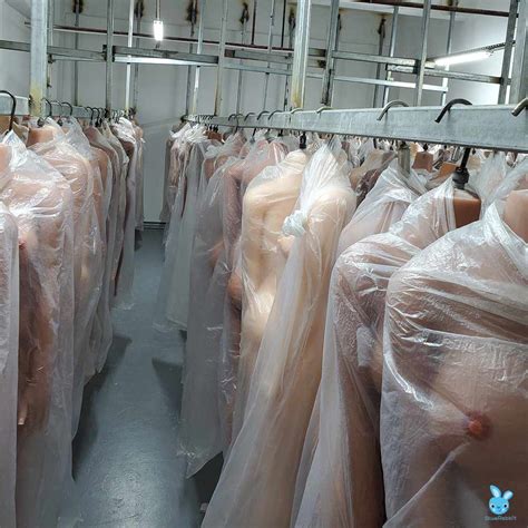 Wholesale Sex Dolls Supplier In China Blue Rabbit