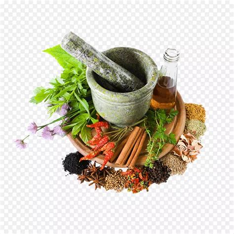 草药疗法中草药补药 香料PNG图片素材下载 图片编号670895 PNG素材网