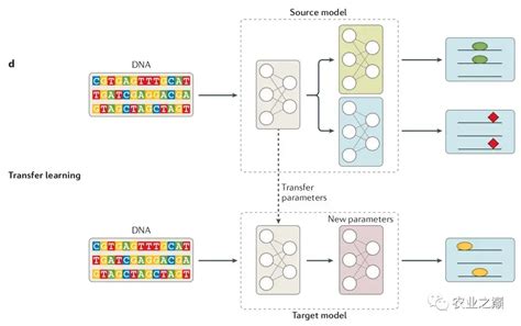 基因组学中的深度学习 知乎