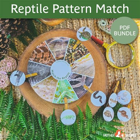 Reptile Matching Activity Reptile Game Pattern Activity Preschool