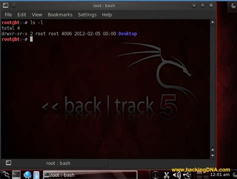 hackingdna how to see files and directories on linux
