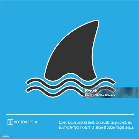상어 지느러미 벡터 아이콘 Eps 10 간단한 고립 된 그림입니다 곡선에 대한 스톡 벡터 아트 및 기타 이미지 곡선 꼬리 단순함 Istock