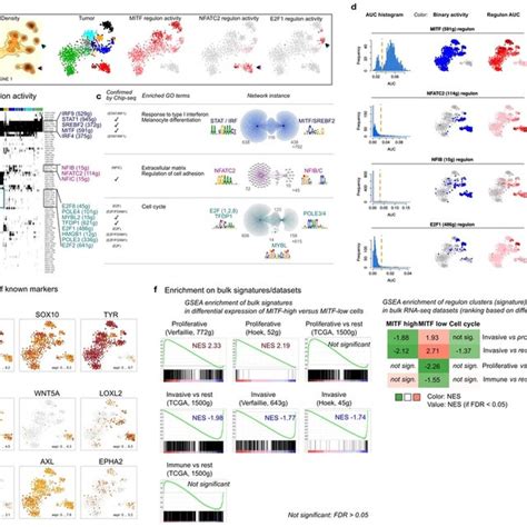Scenic Single Cell Regulatory Network Inference And Clustering