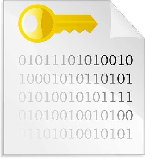 Binary File Icon 381799 Free Icons Library