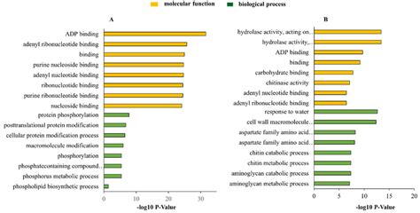 Functional Annotation Analysis Of Differentially Expressed Genes FDR