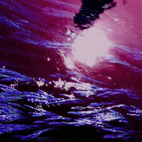 L Sil Auteur Thebookedition