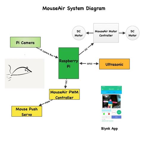 Mouseair Using Ai On The Raspberry Pi To Entertain Your Cat