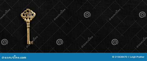 Single Ornate Skeleton Key In Gold Concept For Unlocking Opportunities