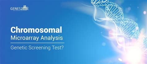 Chromosomal Microarray Analysis Test During Pregnancy Genetic Screen