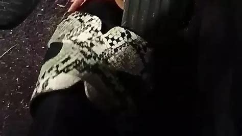 Pedal Orgasm Gay Porn Videos Sex Model Nudes XHamster