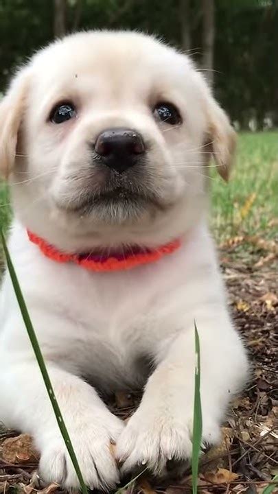 Ppppppppppp0pppppppppppppppppppppppppppppppp 12 Youtube