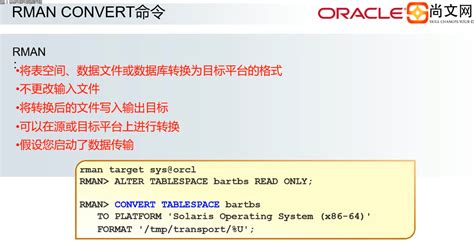 Oracle19c 表空间2 墨天轮