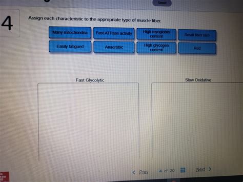 solved saved assign each characteristic to the appropriate