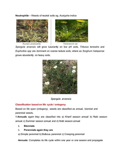 Classification Of Weeds Docx
