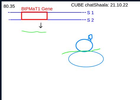 Naturally Occuring Transgenic Whitefly And Rna Interference Cube Chat Chatshaala