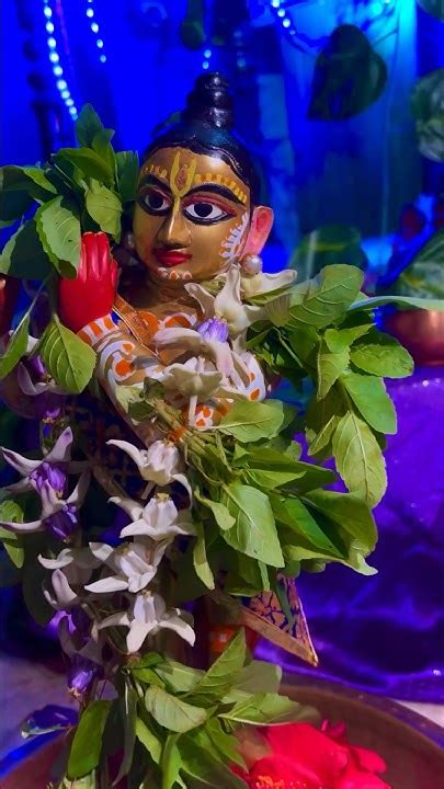 Shri Krishna Bathing Rituals 🍃🌺 Radha Krishna Laddugopal Gopal Balgopal Vrindavan
