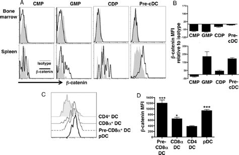 B Catenin Is Upregulated In Splenic Dc Precursors And Mature Dc