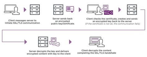 Types Of Ssl Certificates Which One Is Right For Your Site 2022