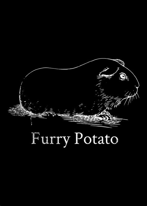 Furry Potato Poster Picture Metal Print Paint By Tormentedabnormal