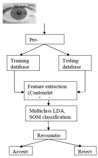 An Efficient Iris Recognition System Using Contourlet Transform And
