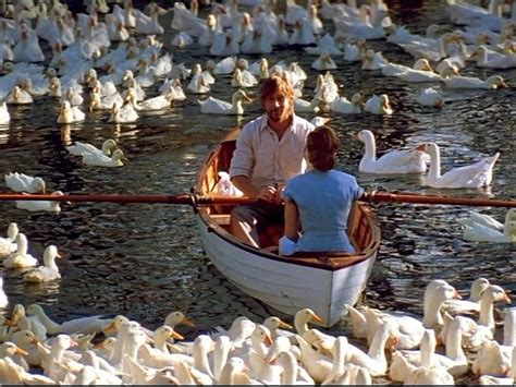 The Notebook 2004 Movie Aesthetic Vision Wallpaper The Notebook
