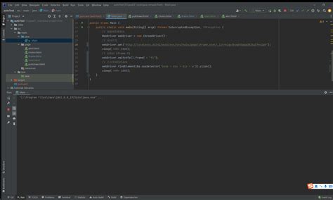 Selenium Ui 自动化