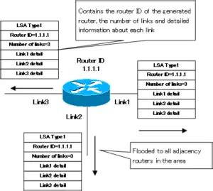 OSPF LSA Type How The OSPF Works N Study