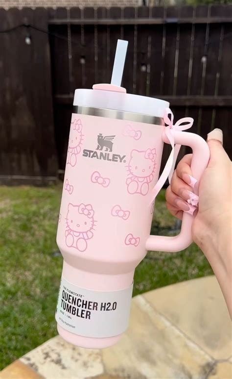 Stanley Hello Kitty Hello Kitty Ts Hello Kitty Accessories