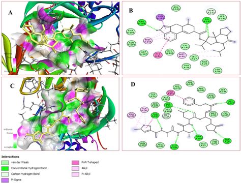 3d Structure Interaction Of Ligand Protein At The Left Side And 2d Download Scientific Diagram