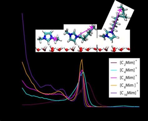 A Probability Distribution Analysis Shows The Alignment Of The Vector