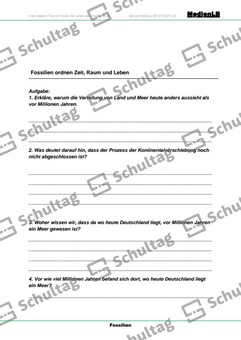 Wie Entstehen Fossilien Schultag