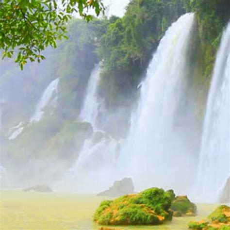 Dhanesh Singh Youtube